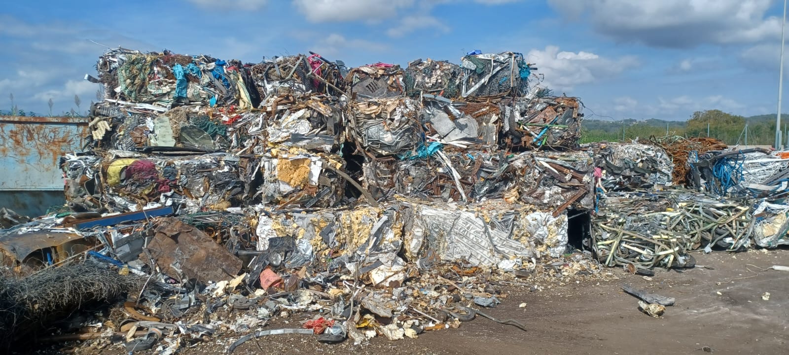 Plantas – Viuda de Lauro Clariana